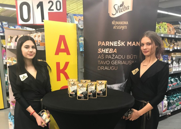 SHEBA - Galley Group